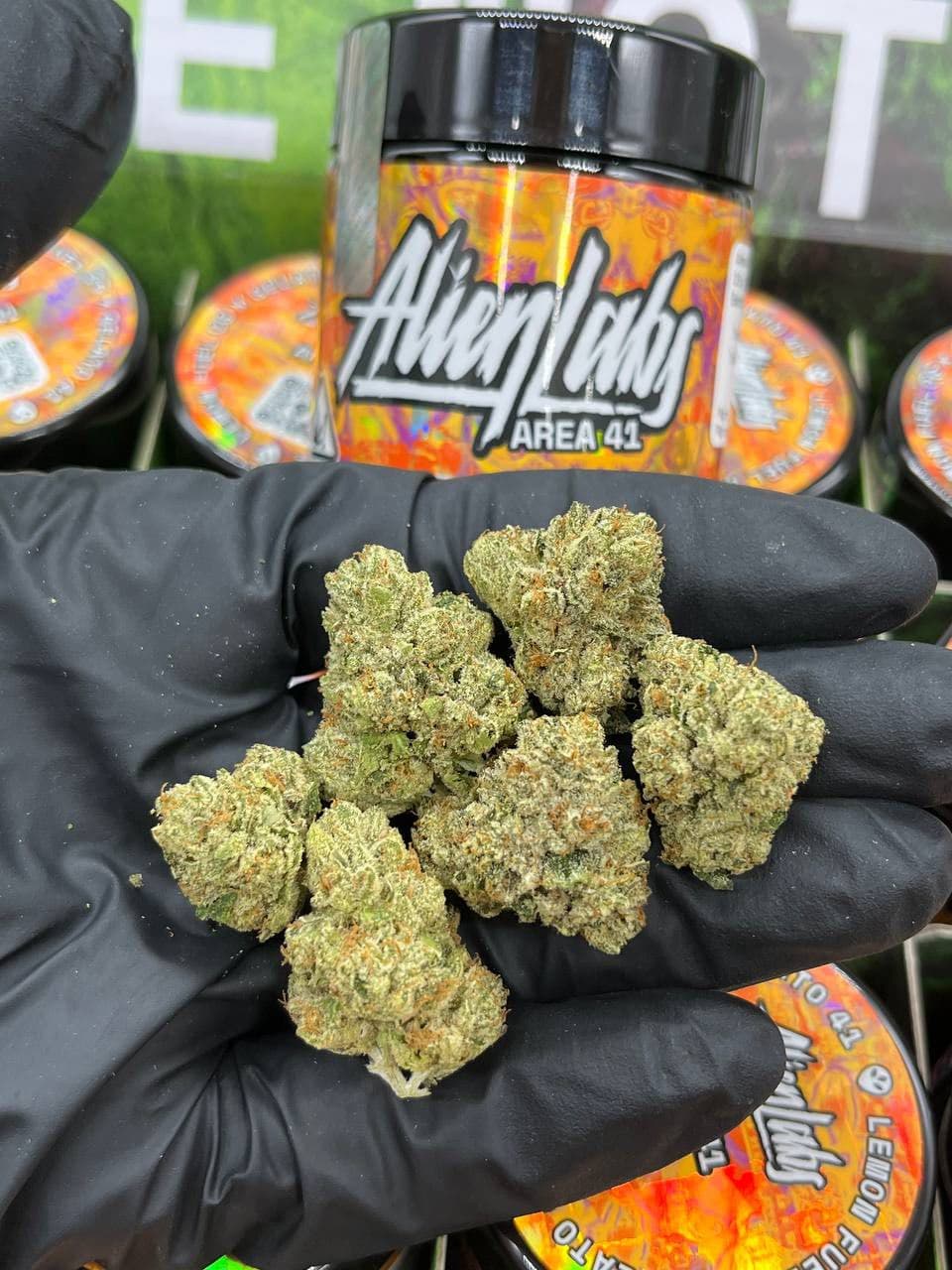 Authentic Alien Labs 8ths jars cannabis infused exotic flower